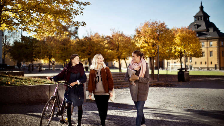 Study at Mid Sweden University BACHELOR AND MORE