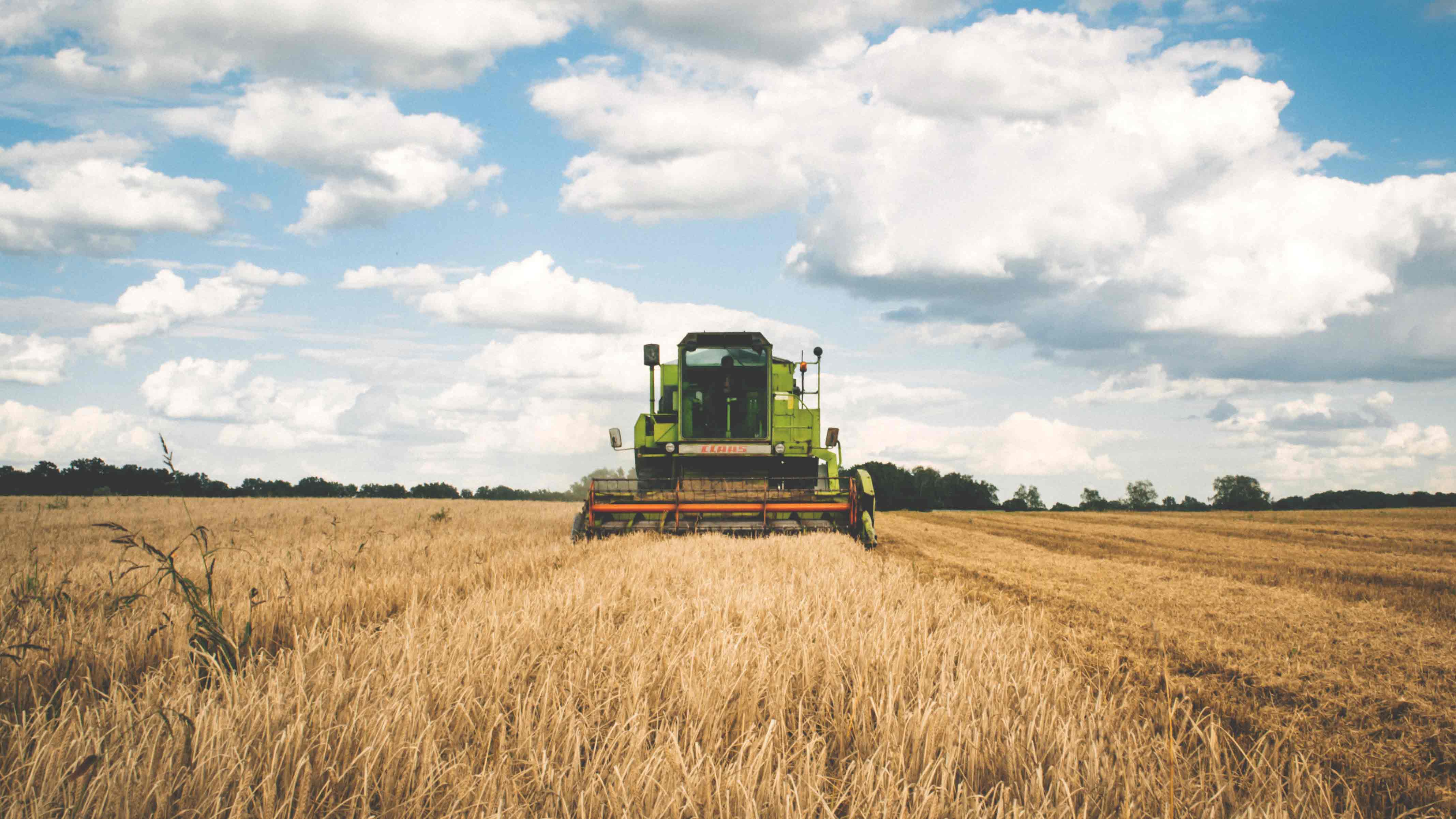 Landwirtschafts-, Natur- und Umweltausbildungen BACHELOR AND MORE